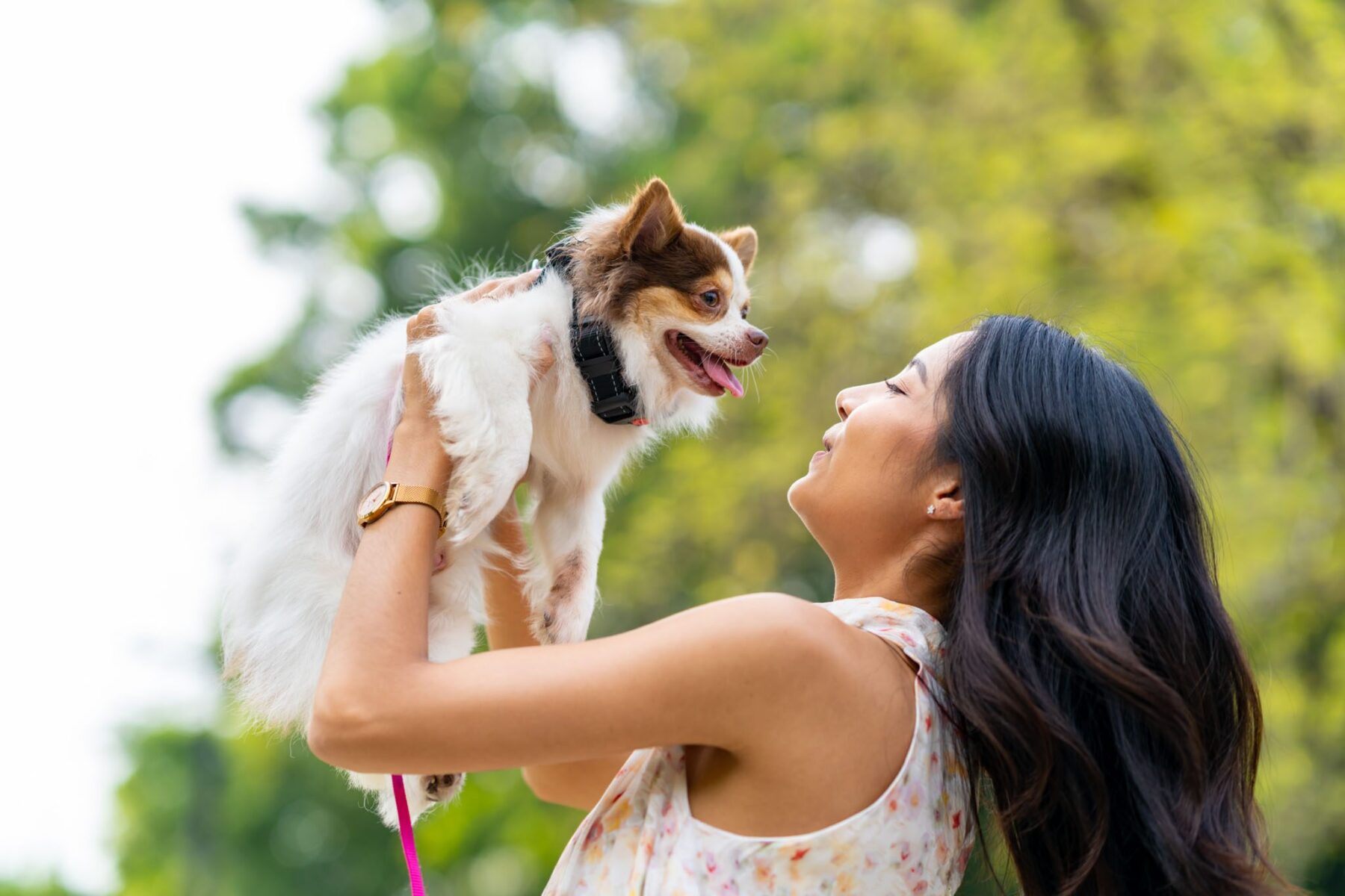 Animal Hospital | Vet Near Me Cary, NC